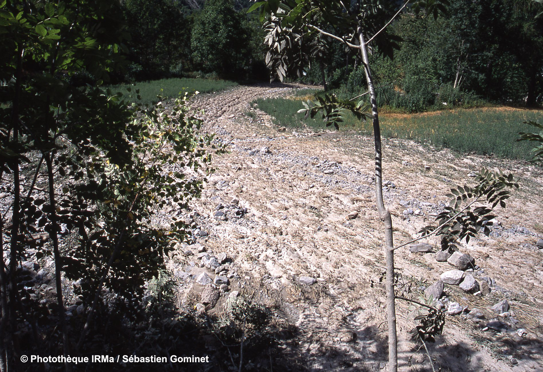 PERIER (LE) : crue torrentielle - Catastrophes naturelles - crue ...